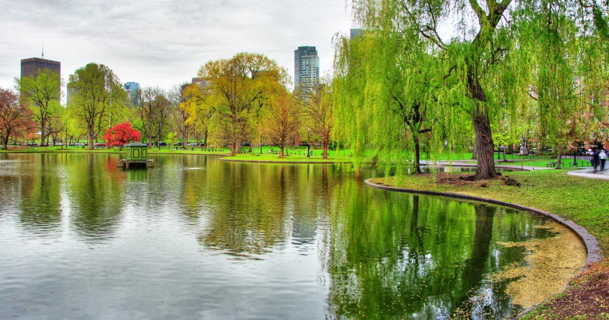 Improving Community Engagement with Boston Parks and Rec | Essential ...